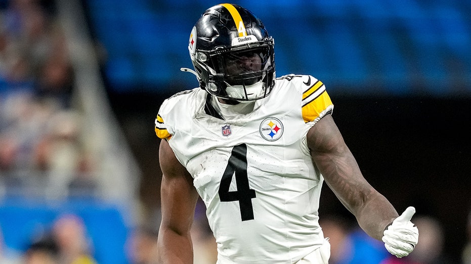 NFL suspends Steelers' DK Metcalf for two games following altercation ...